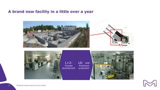 Managing Process Scale-up and Tech Transfer | PDF