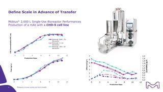 Managing Process Scale-up and Tech Transfer | PDF