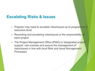 Managing Project Risks & Issues | PPT