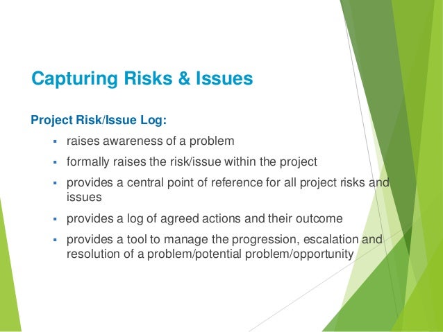 Managing Project Risks & Issues