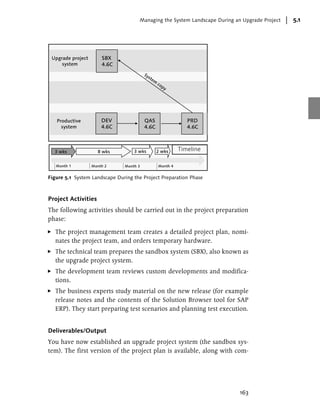 Managing sap upgrade_projects | PDF