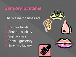 Managing sensory Integration dysfunctions with behavioral strategies in ...