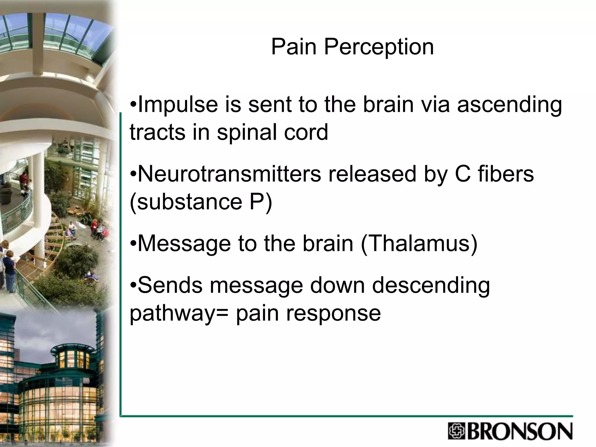managing_surgical_pain.ppt