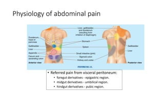 Managing the acute abdomen in the ER | PPTX