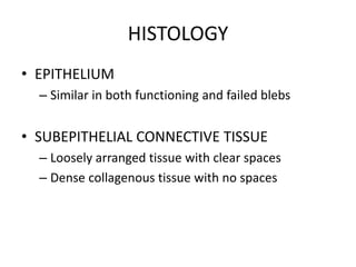Managing the failing bleb | PPTX