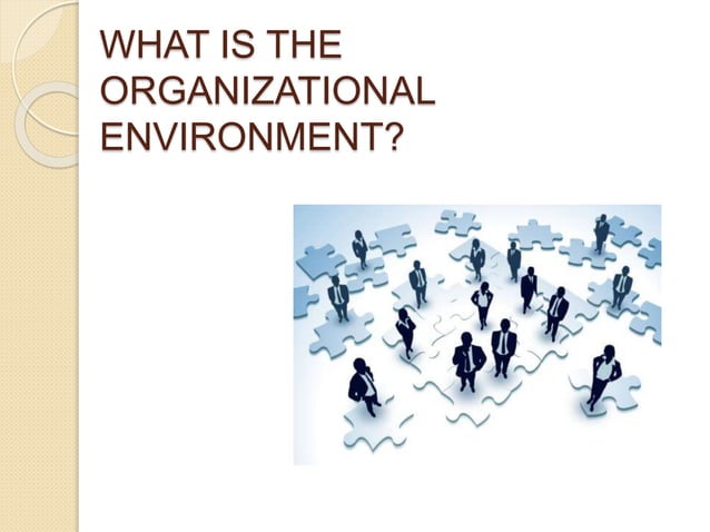 Managing the organizational environment | PPTX