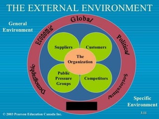 Managing the organizational environment | PPTX