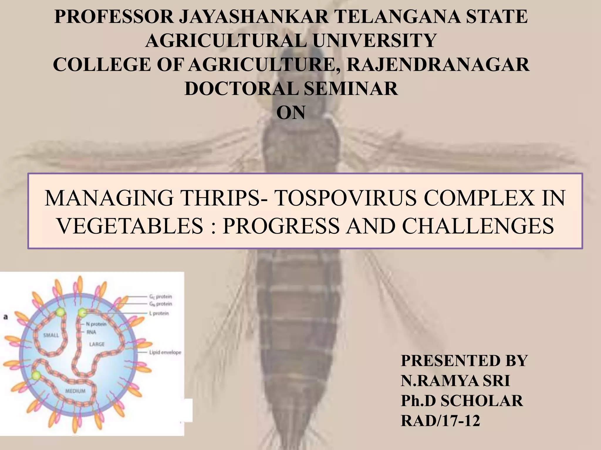 Managing thrips tospovirus complex in vegetables | PPT