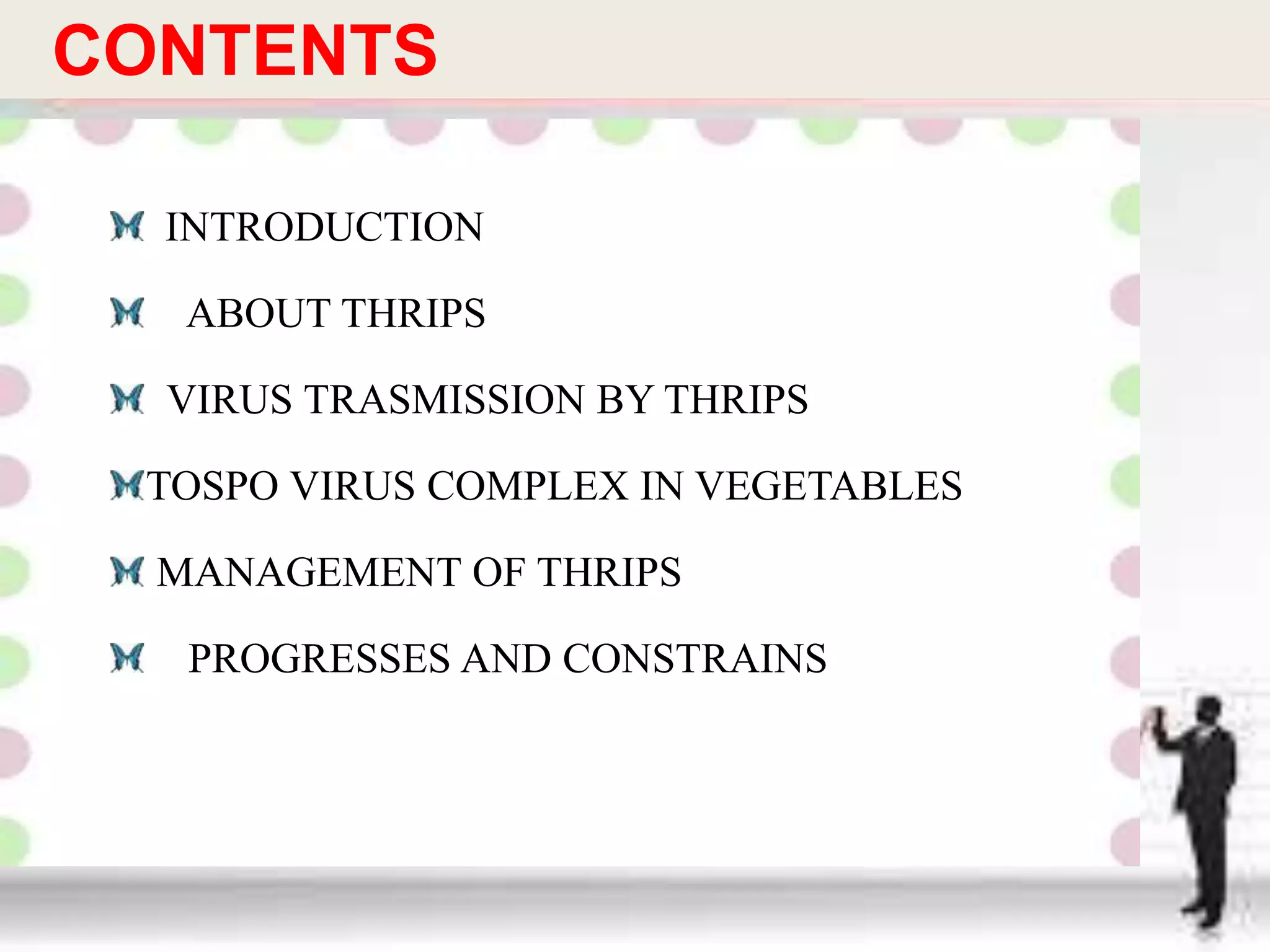 Managing thrips tospovirus complex in vegetables | PPT
