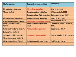 Managing thrips tospovirus complex in vegetables | PPTX