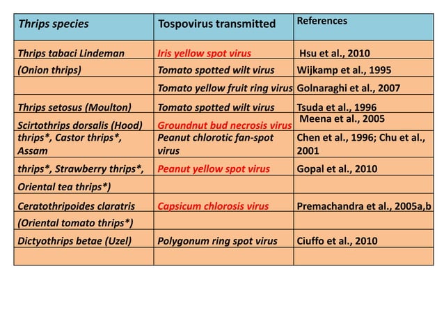 Managing thrips tospovirus complex in vegetables | PPT
