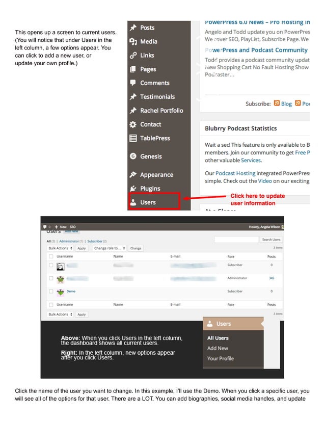 Managing user roles in WordPress | PDF