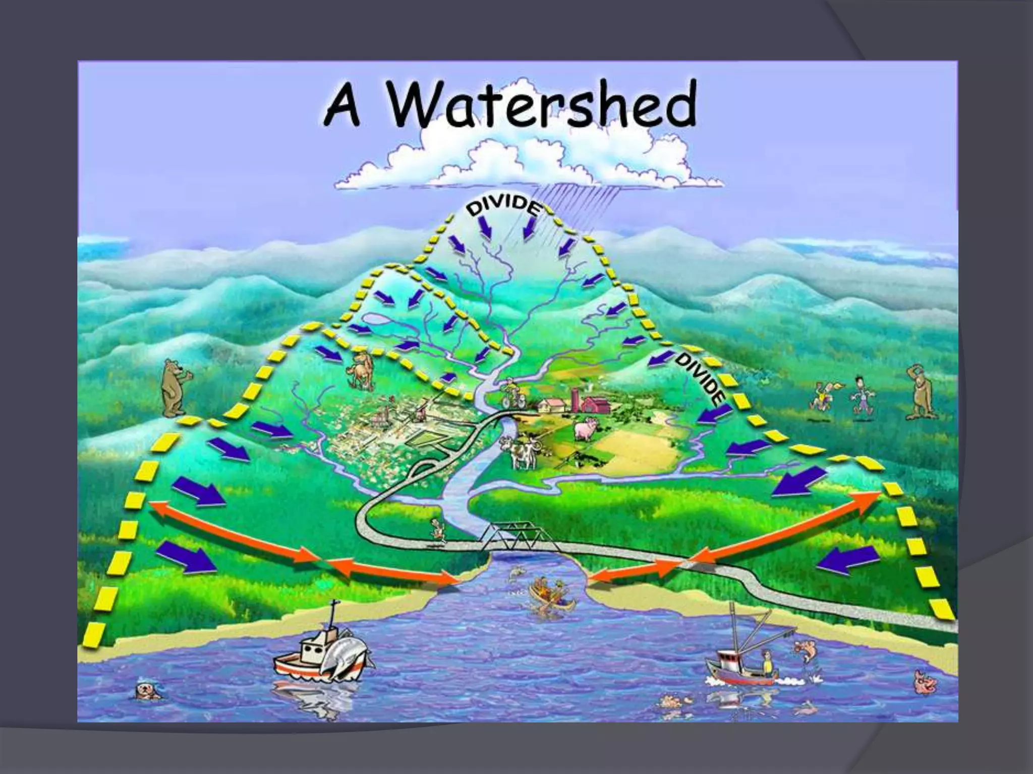 Managing Water & Watersheds | PPTX | Environment | Science