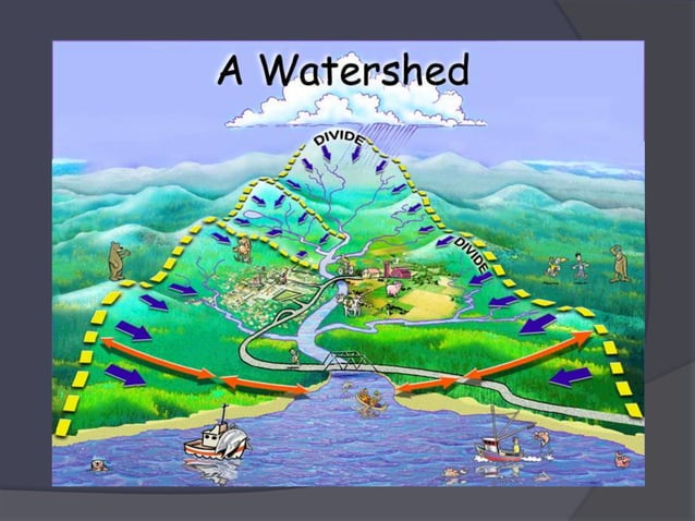 Managing Water & Watersheds | PPTX | Environment | Science