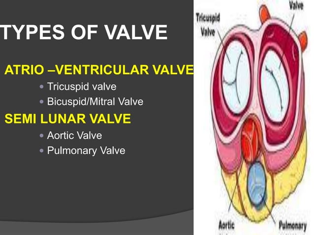 Managment for dvr surgery | PPT