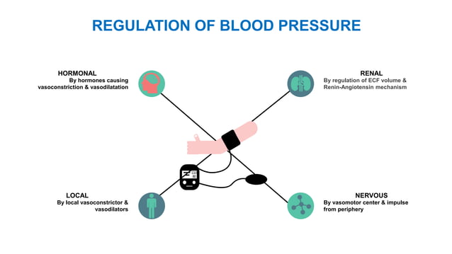 Managment of hypertensive patient in dental clinic- OMFS | PPTX | Heart ...
