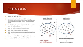 MANAGMENT OF HYPOKALEMIA & HYPERKALEMIA (1).pptx