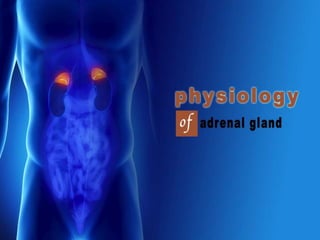 Dental Management of Patient With Adrenal Cortex Disorder | PPTX