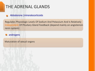 Dental Management of Patient With Adrenal Cortex Disorder | PPTX