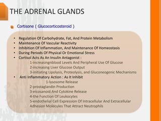 Dental Management of Patient With Adrenal Cortex Disorder | PPTX