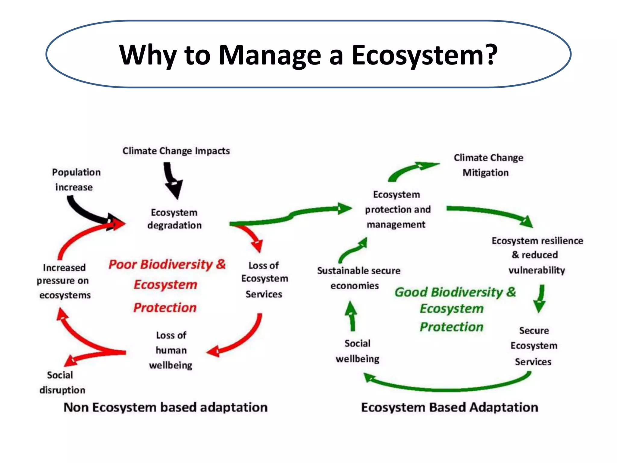managment plan for ecosystem in KPk.pptx
