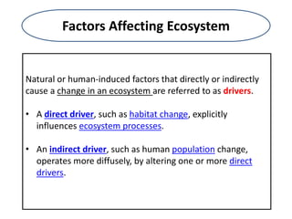 managment plan for ecosystem in KPk.pptx