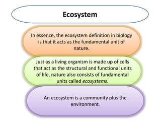 Ecosystem Definition Biology