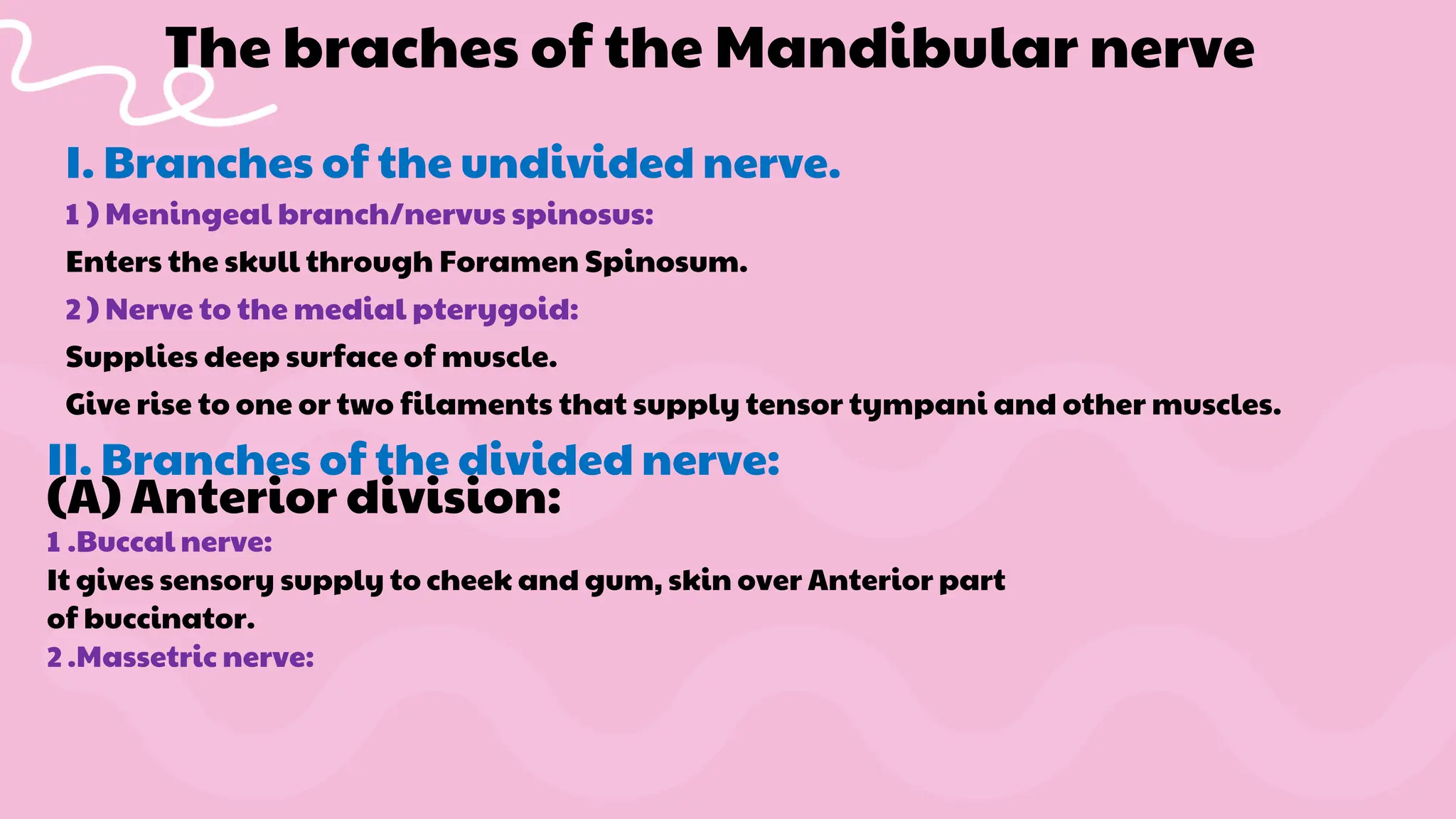 cranial nerve 5 detailed decription and presentation | PPTX