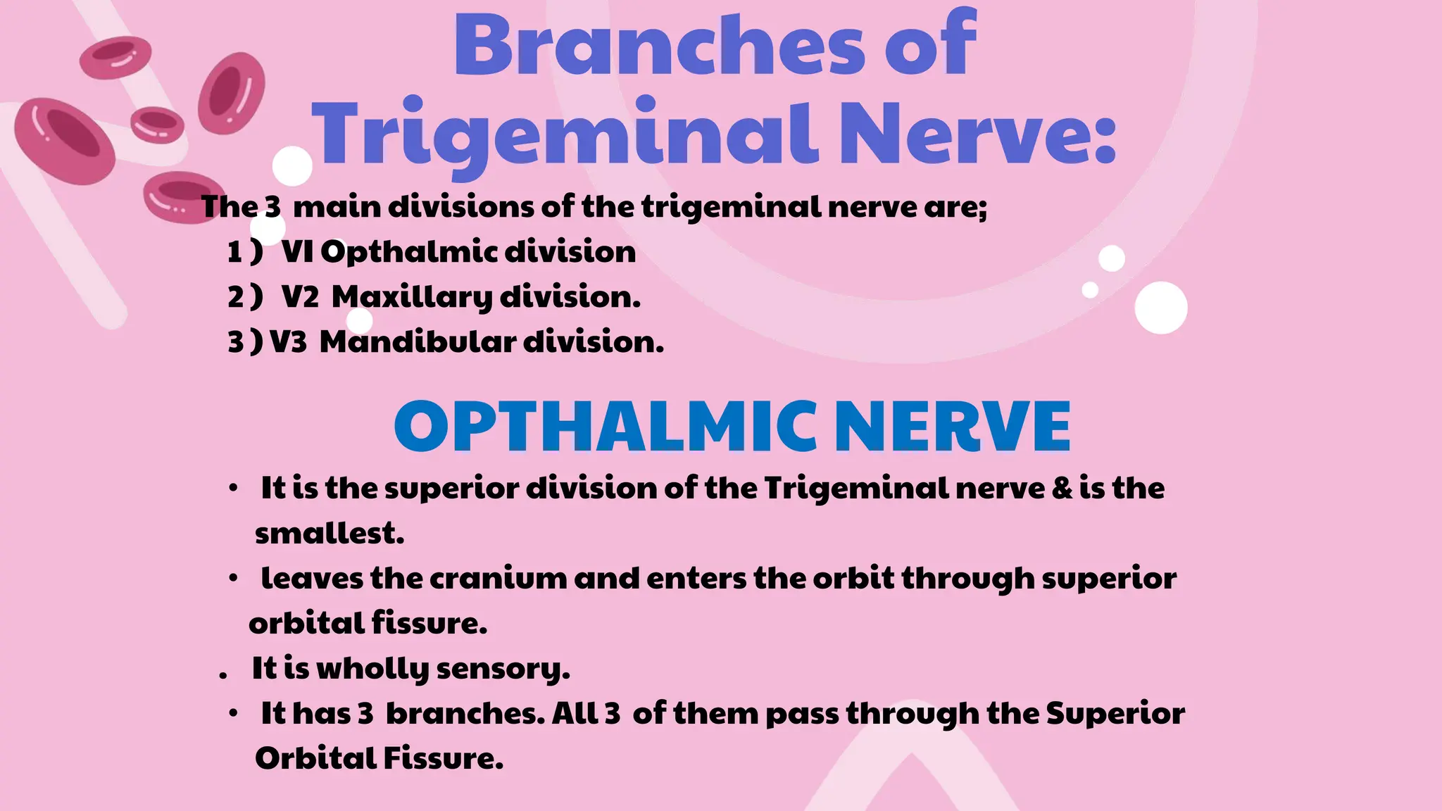 cranial nerve 5 detailed decription and presentation | PPTX