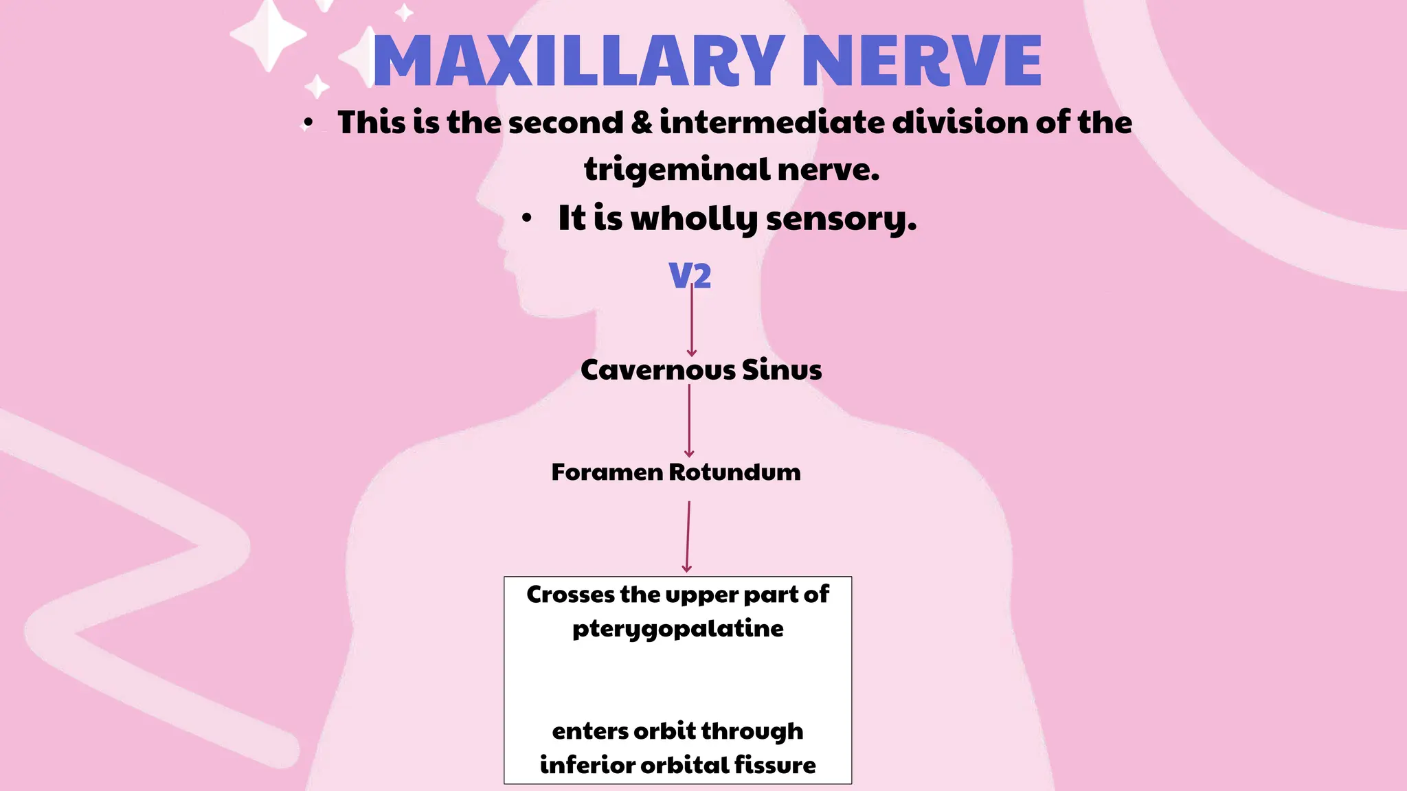 cranial nerve 5 detailed decription and presentation | PPTX