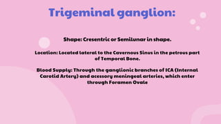 cranial nerve 5 detailed decription and presentation | PPTX