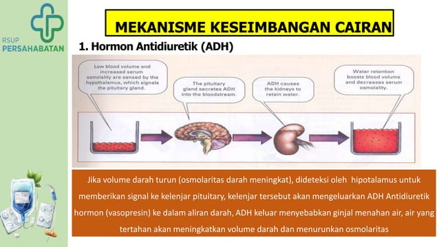Manajemen cairan dan elektrolit 8 september 2022.pdf
