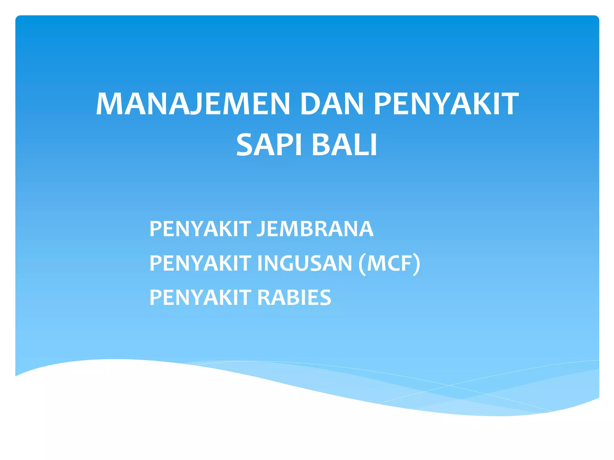 MANAJEMEN DAN PENYAKIT SAPI BALI.pdf