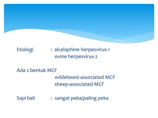 MANAJEMEN DAN PENYAKIT SAPI BALI.pdf