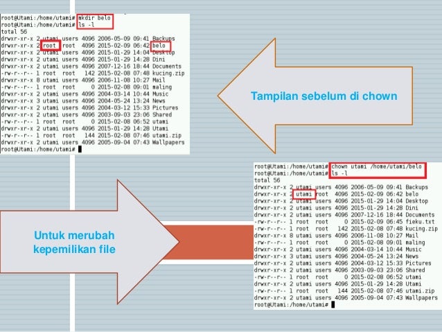 Manajemen file dan grup