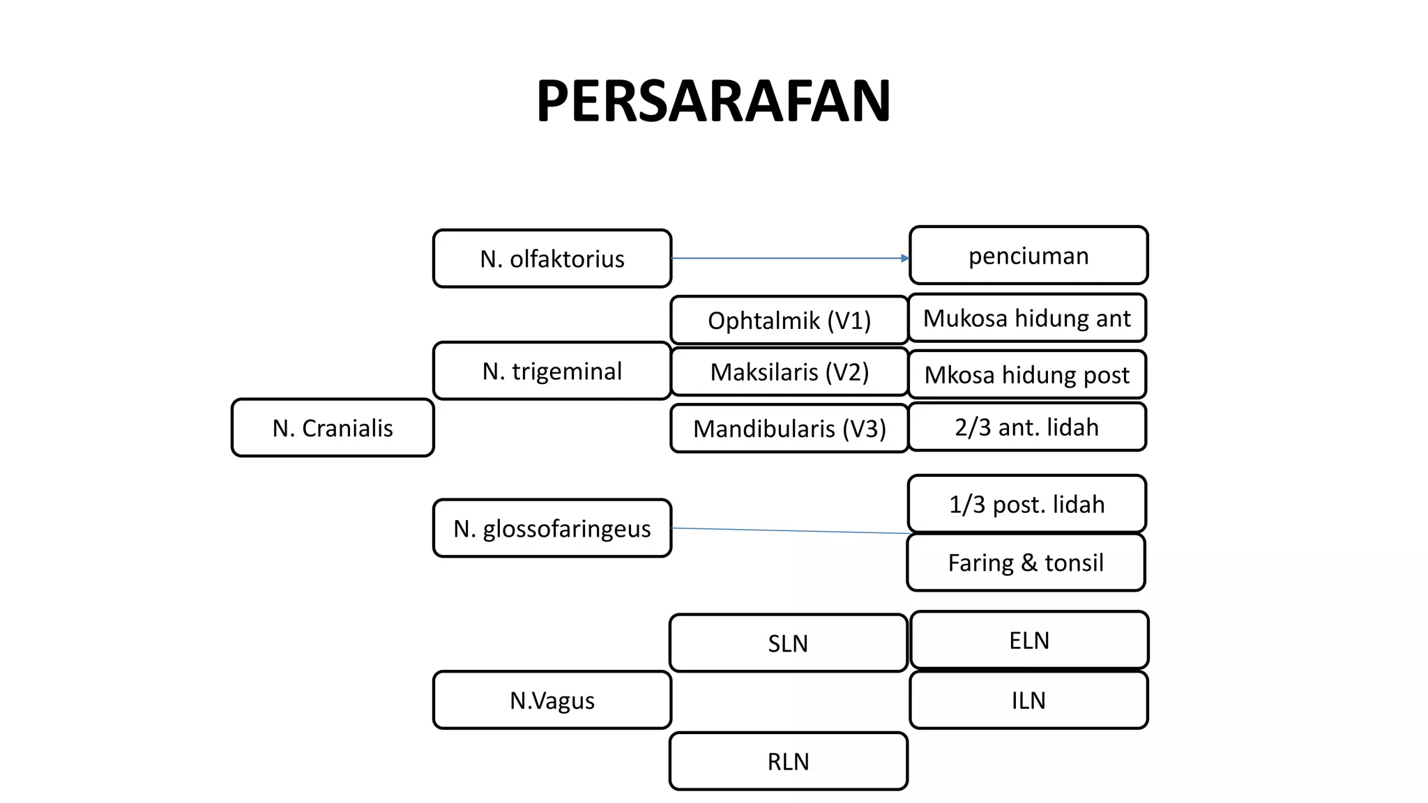Manajemen jalan napas (airway management) | PPTX