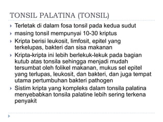 Manajemen kasus tonsilitis | PPTX