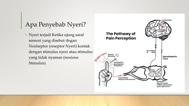 Manajemen Nyeri REVISI.pptx