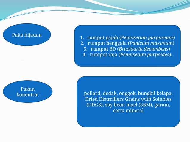 MANAJEMEN_PEMELIHARAAN_SAPI_POTONG_DI_BP.pptx