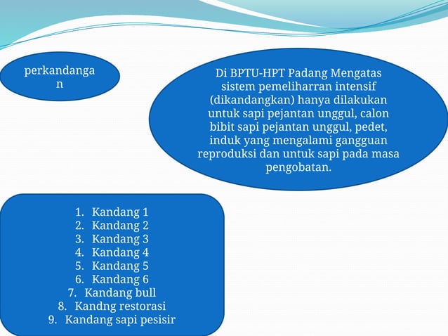 MANAJEMEN_PEMELIHARAAN_SAPI_POTONG_DI_BP.pptx