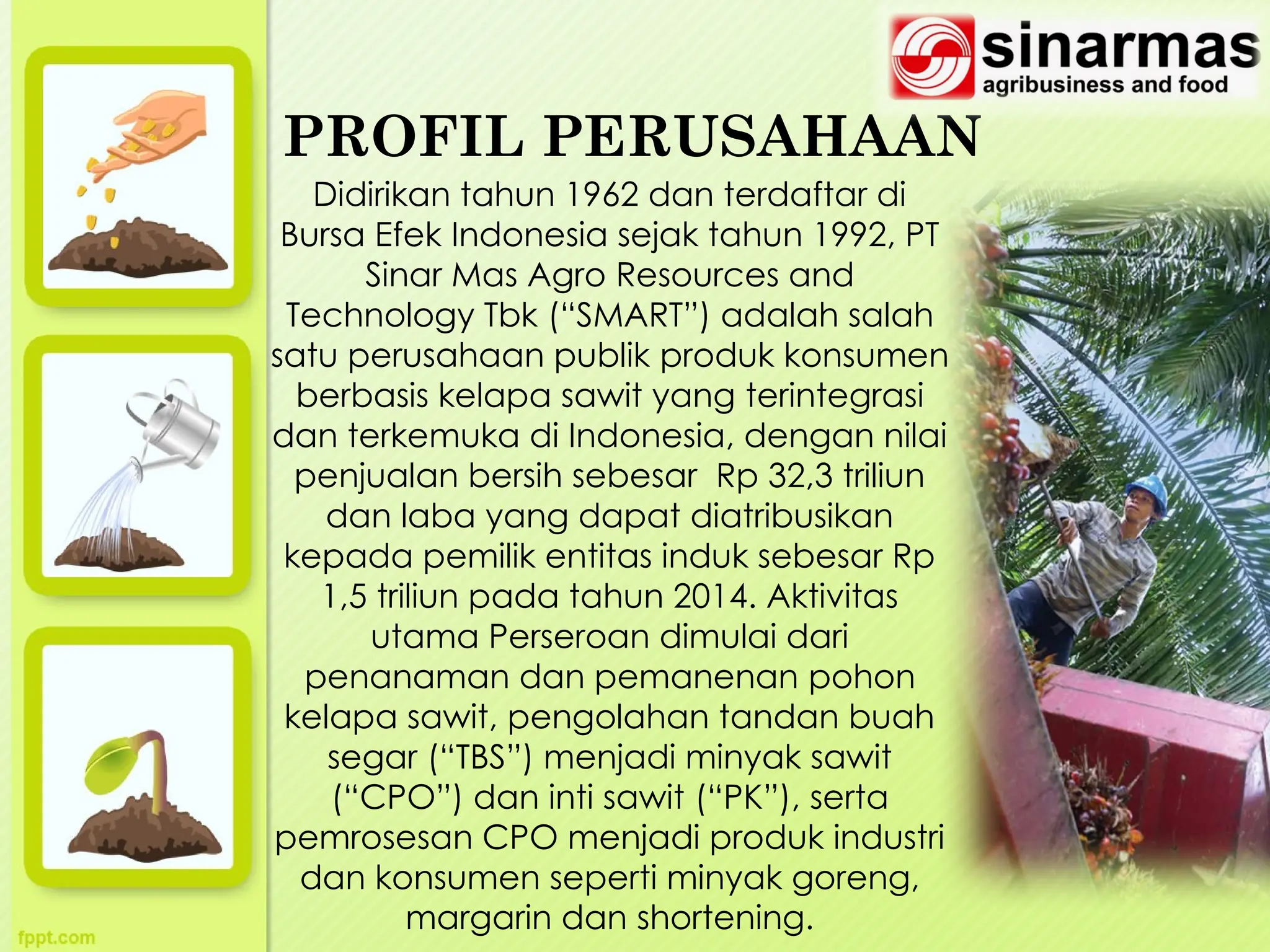 manajemen perpajakan pada perusahaan perkebunan kelapa sawit.pptx