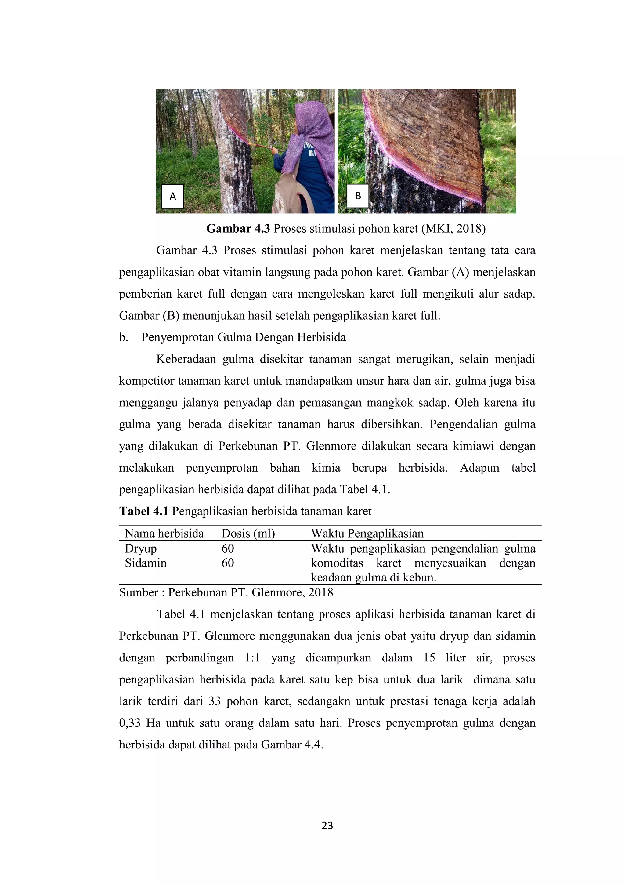 Contoh Laporan Magang Kerja Industri Tentang Manajemen Sumber Daya ...