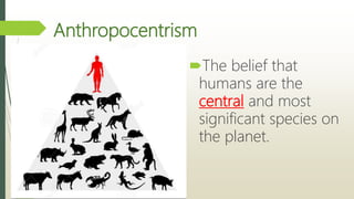 Philosophy: Man and his environment | PPTX