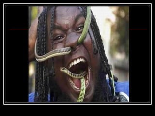 Man and snake | PPT