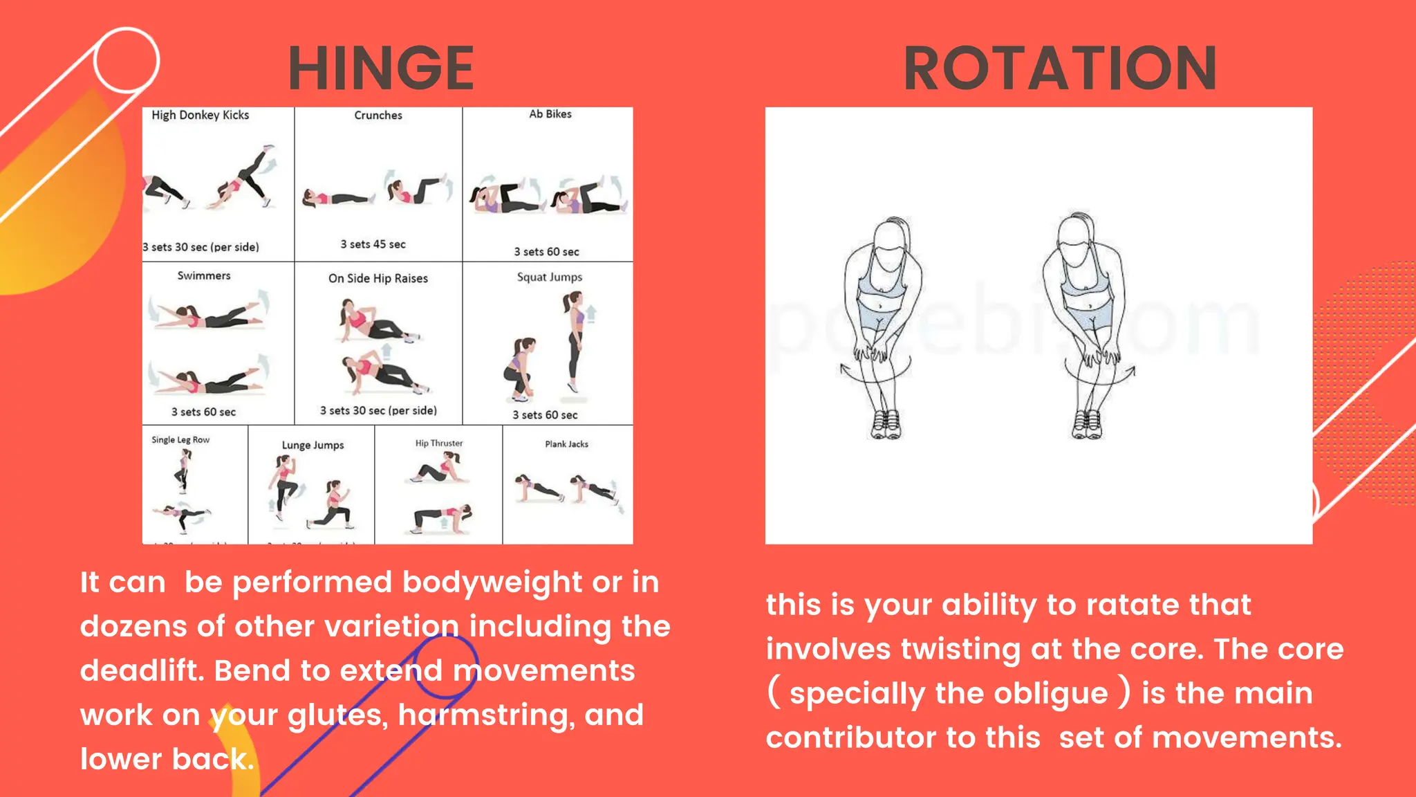 The Science of Human Movement in Physical Education | PPTX