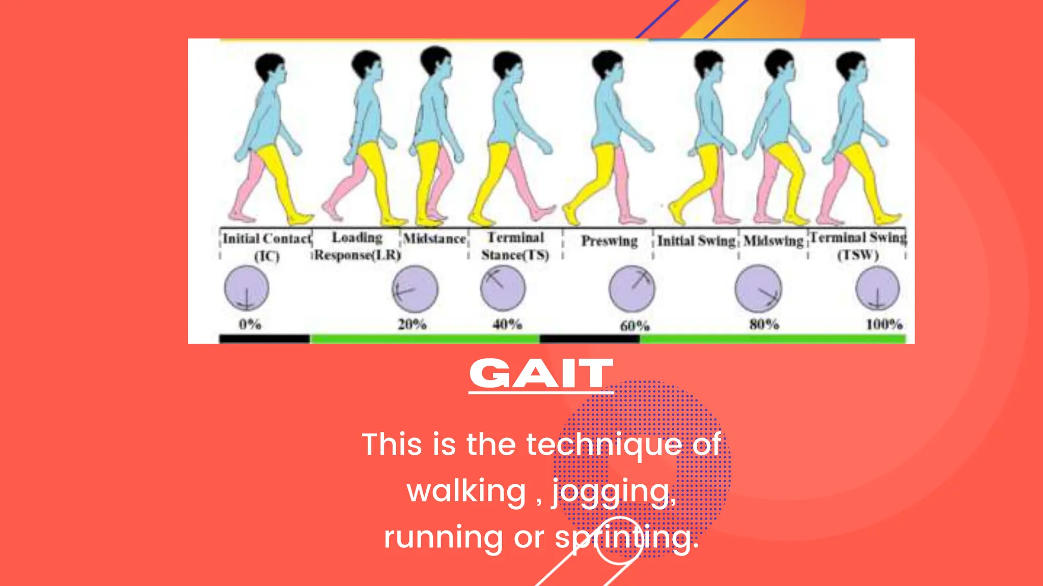 The Science of Human Movement in Physical Education | PPTX