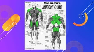 The Science of Human Movement in Physical Education | PPTX