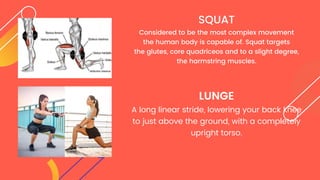 The Science of Human Movement in Physical Education | PPTX