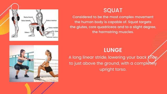 The Science of Human Movement in Physical Education | PPTX