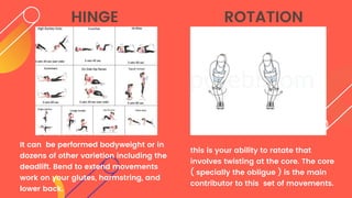 The Science of Human Movement in Physical Education | PPTX